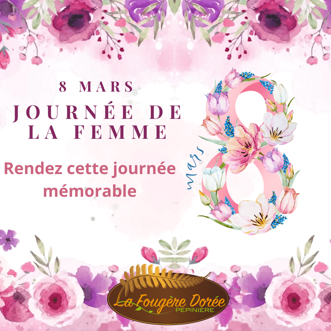 Célébrons la Journée Internationale des Droits des Femmes 2024